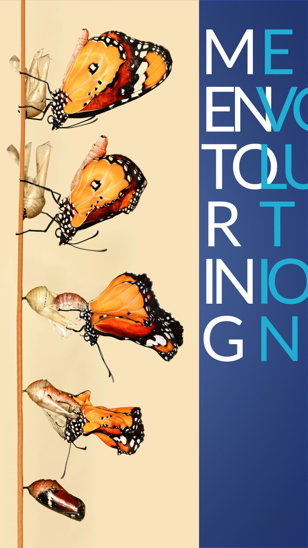 Von Mentee zum Mentor - wie stelle ich das an?